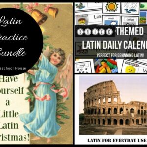 'All the Fun Stuff!' bundle – (12) products {FREE} | The Homeschool House